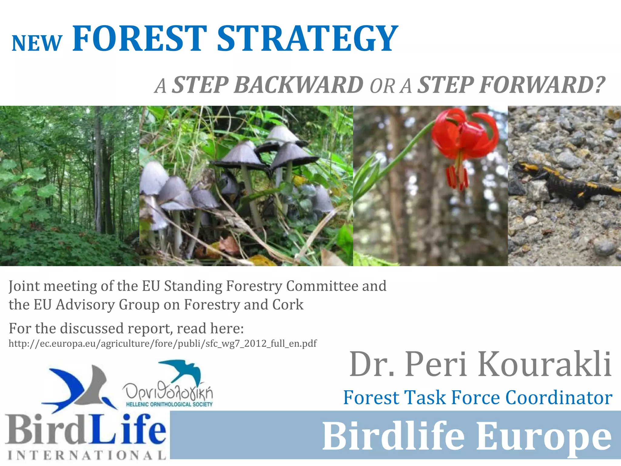 New forest strategy | PPT
