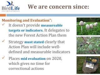 New forest strategy | PPT
