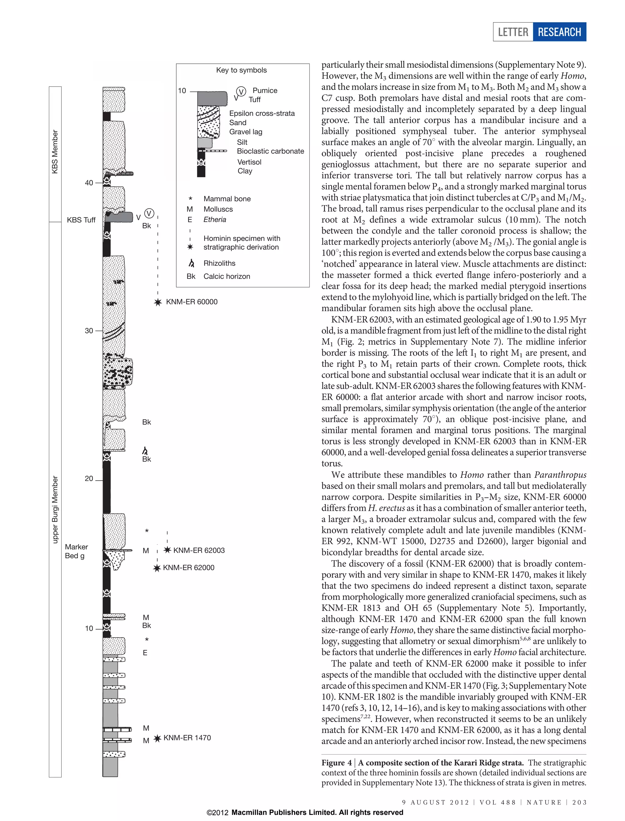 New fossils from koobi fora in northern kenya confirm taxonomic ...