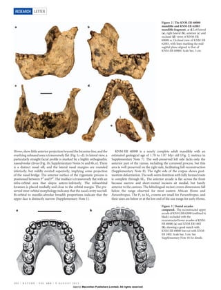 New fossils from koobi fora in northern kenya confirm taxonomic ...