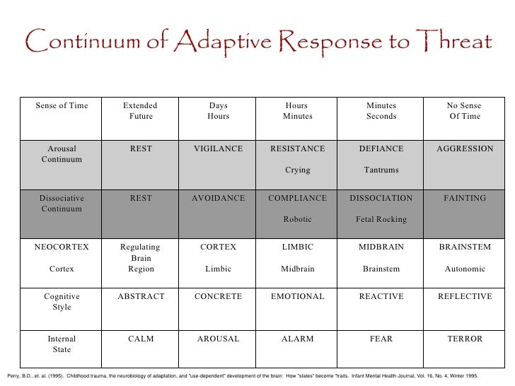 New Foundations of Parenting an Adopted Child