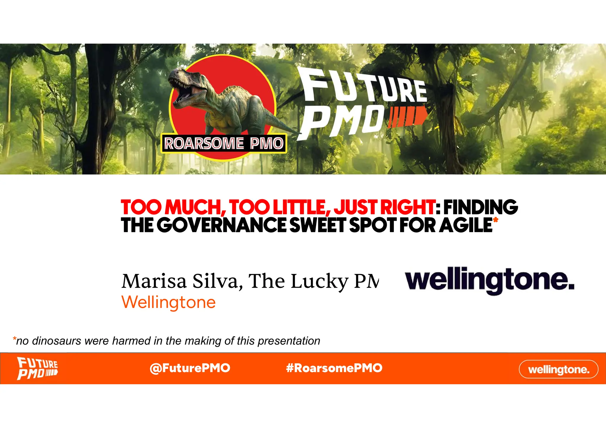 Too Much, Too Little, Just Right: Finding the Governance Sweet Spot for ...