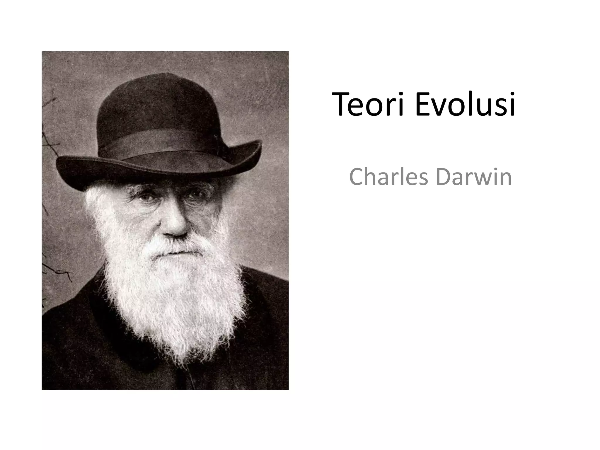 Biologi Teori Evolusi Darwin | PPTX