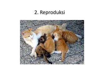 Biologi Teori Evolusi Darwin | PPTX