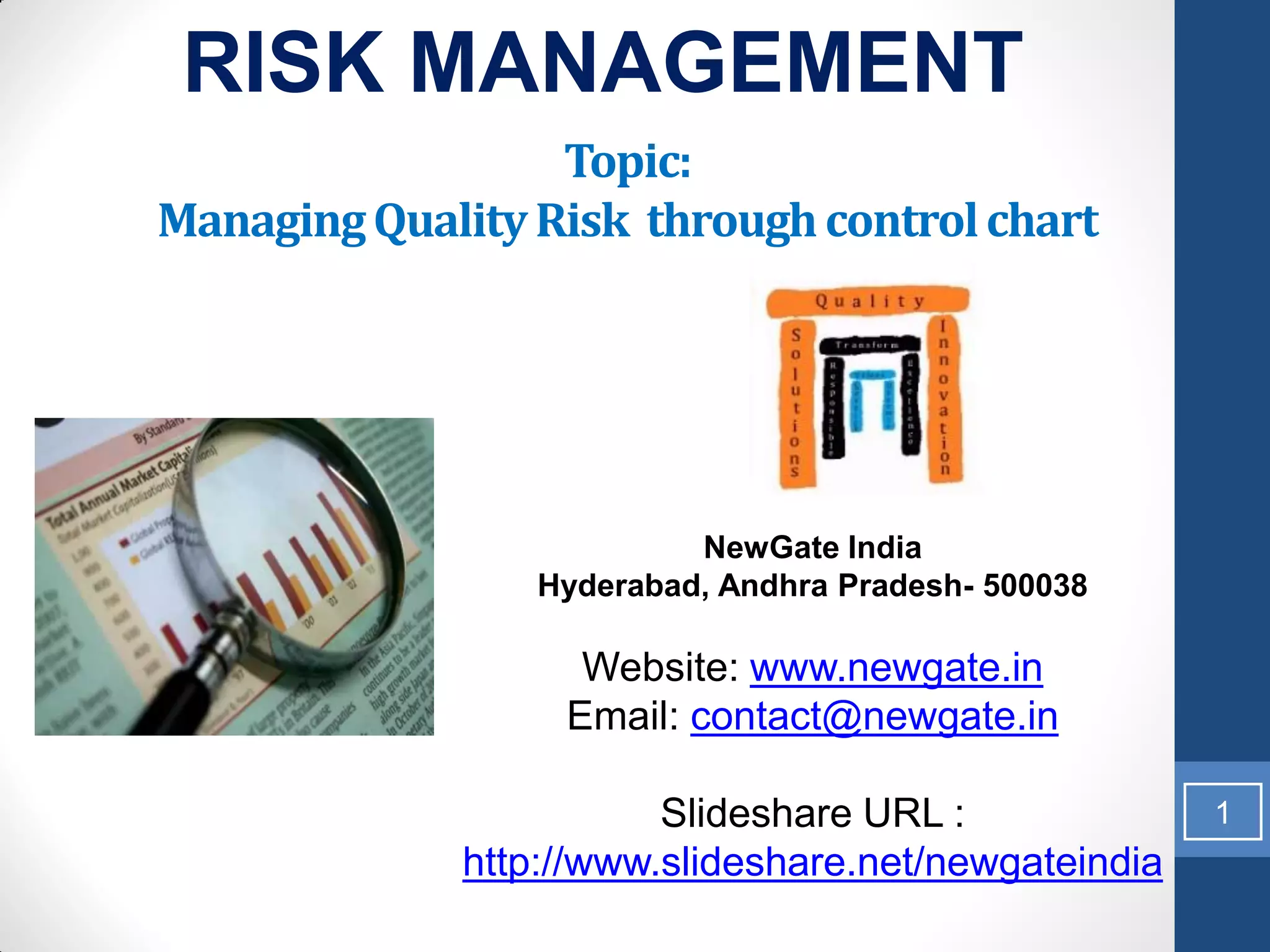 Risk management Report | PDF