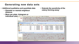 Automated Colony Counting - New Methods Can Save Researchers Time and ...