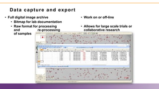 Automated Colony Counting - New Methods Can Save Researchers Time and Cost | PPT