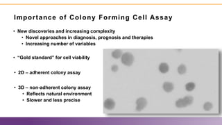 Automated Colony Counting - New Methods Can Save Researchers Time and ...