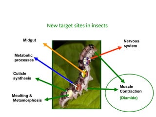 new generation insecticides and eliminated insecticide | PPTX