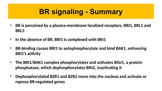 New Generation Hormones - Brassinosteroids and strigolactones | PPTX