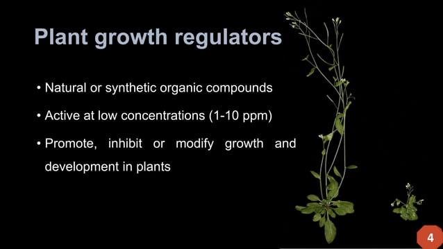 New generation plant growth regulators in fruit crops | PPTX