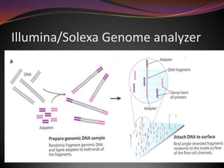 New generation sequencing equipments | PPT