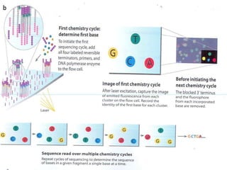 New generation sequencing equipments | PPTX
