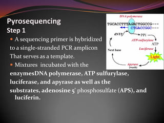 New generation sequencing equipments | PPT