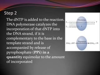 New generation sequencing equipments | PPT