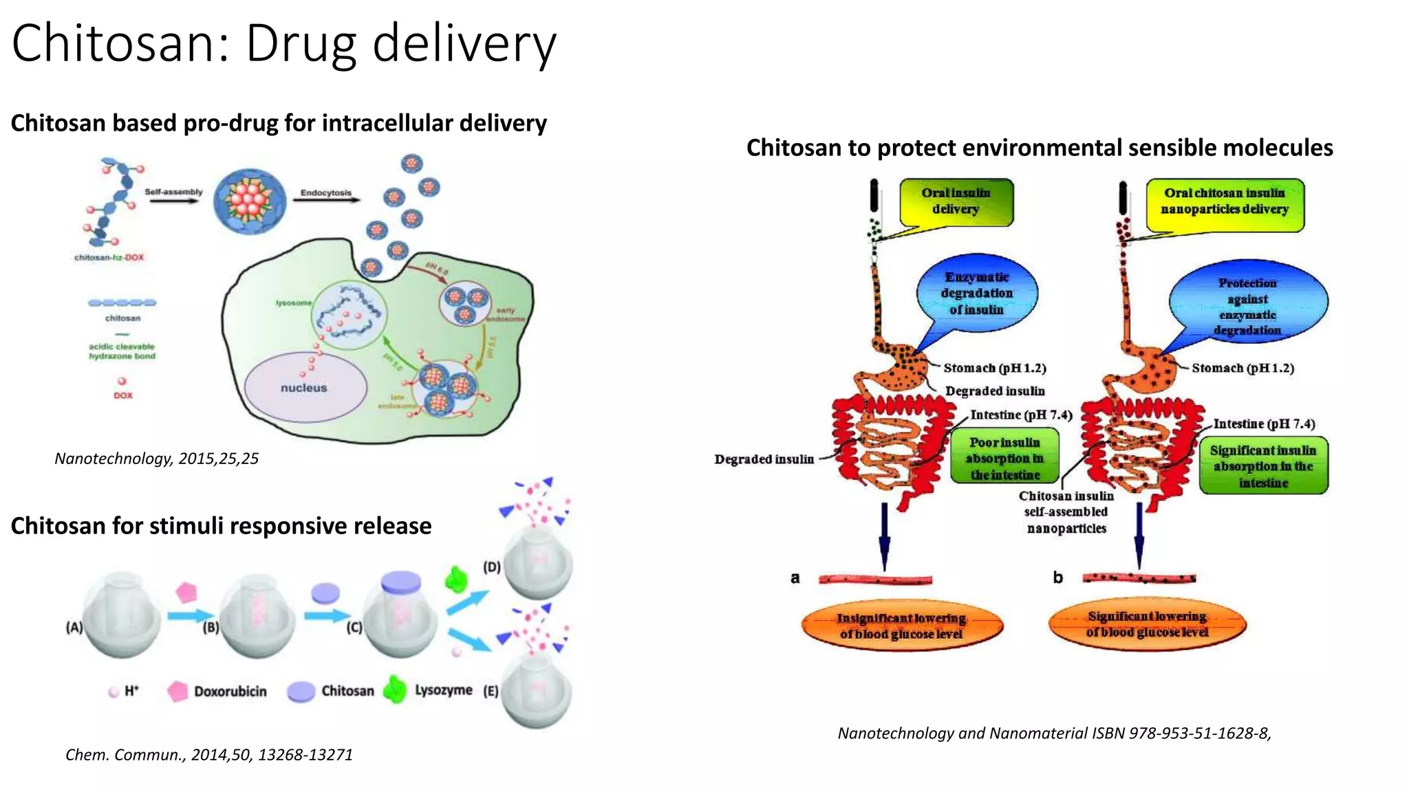 Chitosan: A versatile tool for drug and gene delivery | PPTX ...