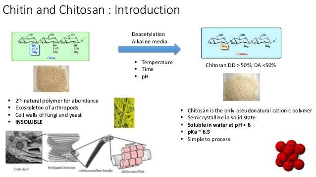 Chitosan: A versatile tool for drug and gene delivery