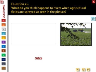 Geography M2 Human Impact on Rivers | PPT