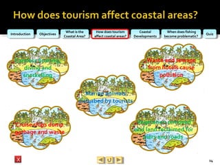 Geography M2 Human Impact in Coastal Areas | PPT