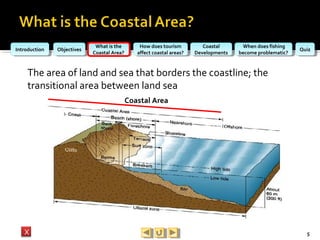 Geography M2 Human Impact in Coastal Areas | PPT