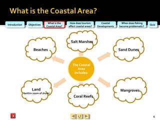 Geography M2 Human Impact in Coastal Areas | PPT