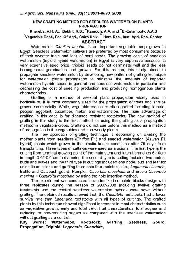New grafting method for seedless watermelon plants propagation | PDF