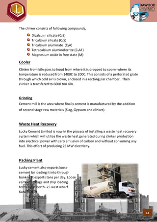 Report of Cement Manufacturing Industry | PDF