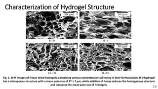 NEW Hydrogel incorporating honey for Wound Healing.pptx