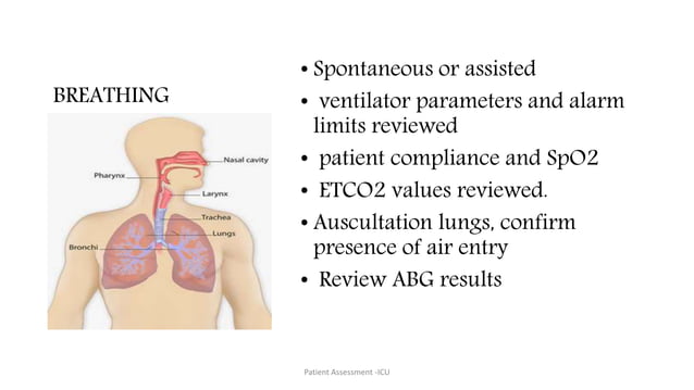 New icu patient assessment process | PPTX | First Aid | Injuries