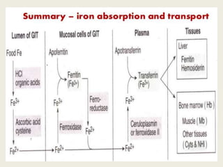 IRON DEFICIENCY ANEMIA | PPTX