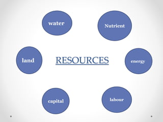 IFS act as new resources | PPTX