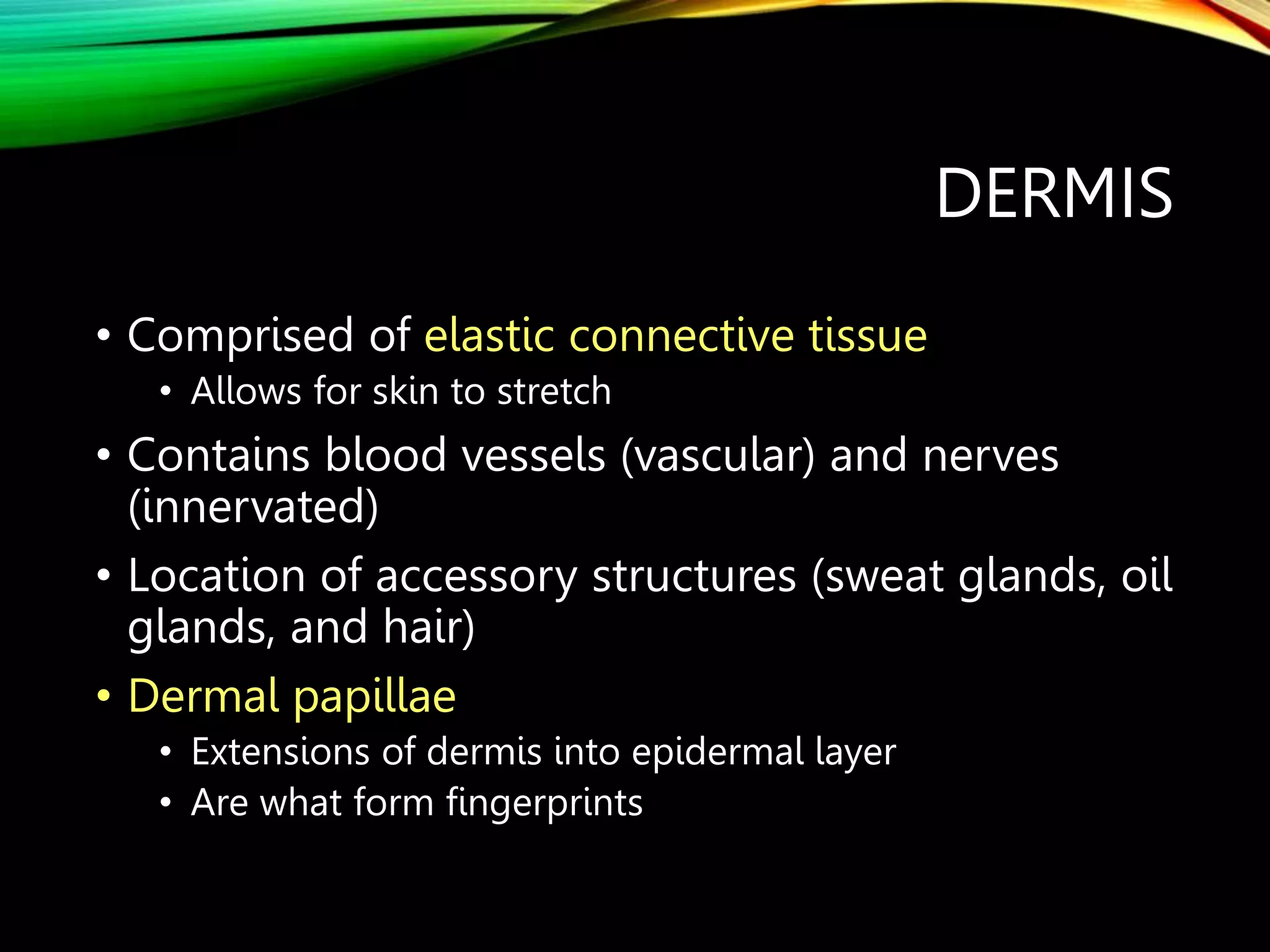 newintegumentarysystem.ppt
