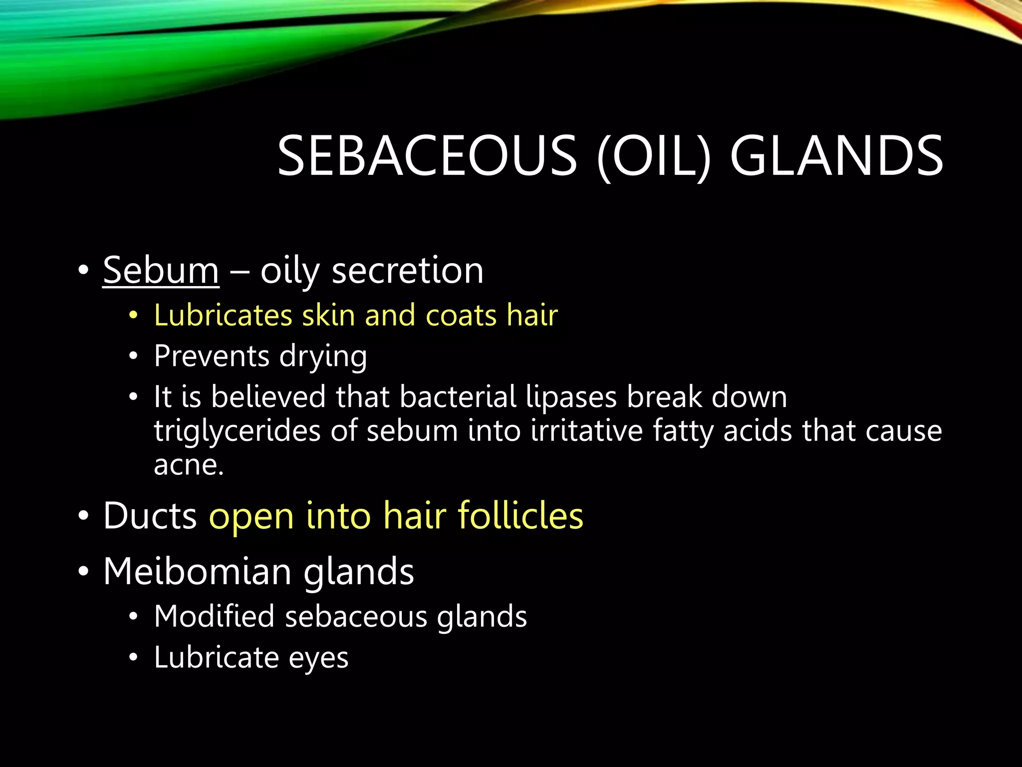 newintegumentarysystem.ppt