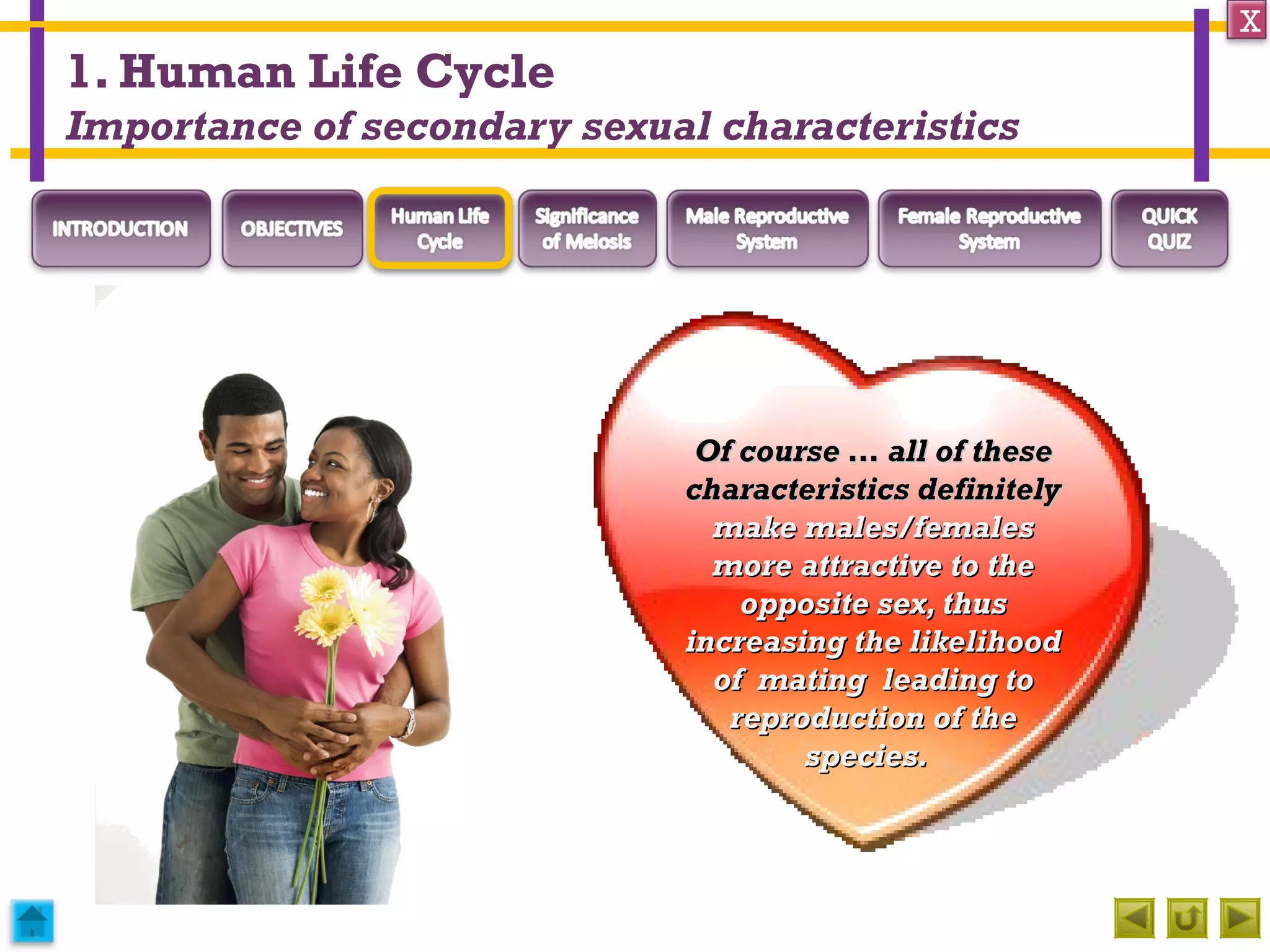 Integrated Science M3 Sexual Reproduction in Humans | PPT