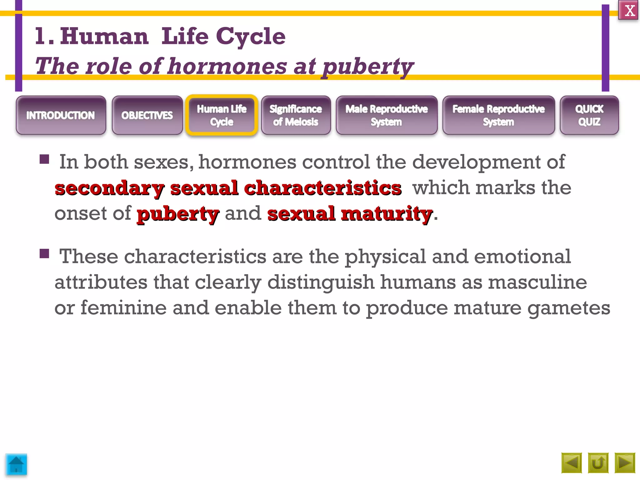 Integrated Science M3 Sexual Reproduction in Humans | PPT