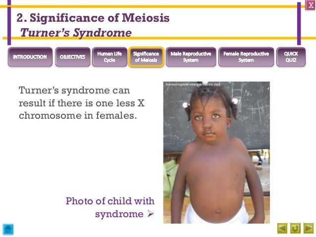Integrated Science M3 Sexual Reproduction in Humans