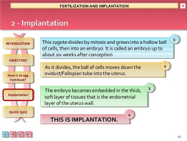 Integrated Science M3 Fertilization Pregnancy And Birth Science ...
