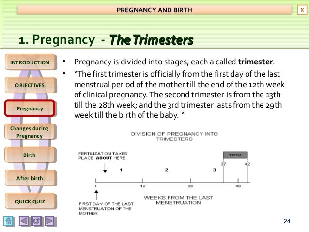 Integrated Science M3 Fertilization Pregnancy And Birth Science ...