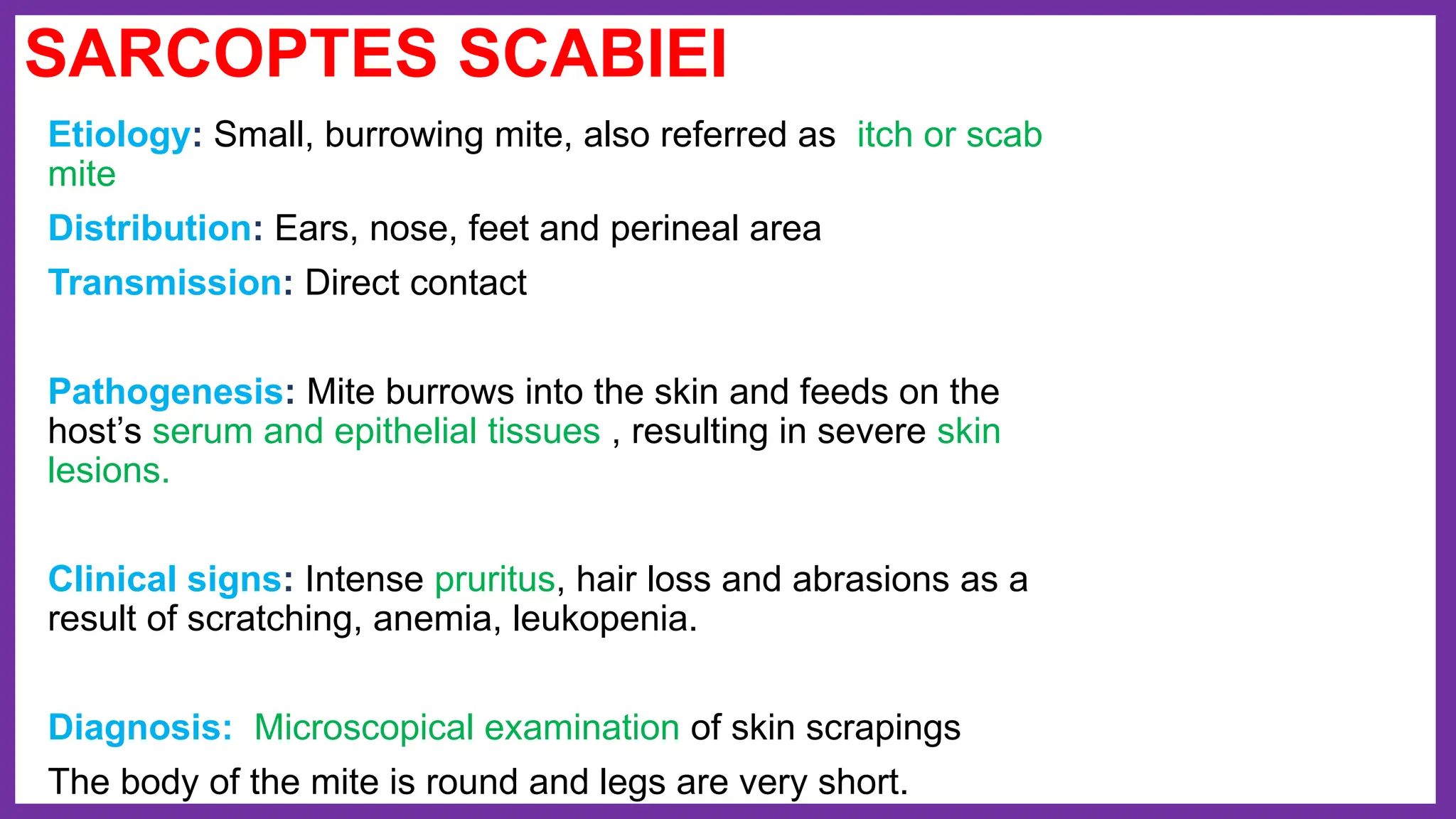 Power point presentations related to mite | PPTX