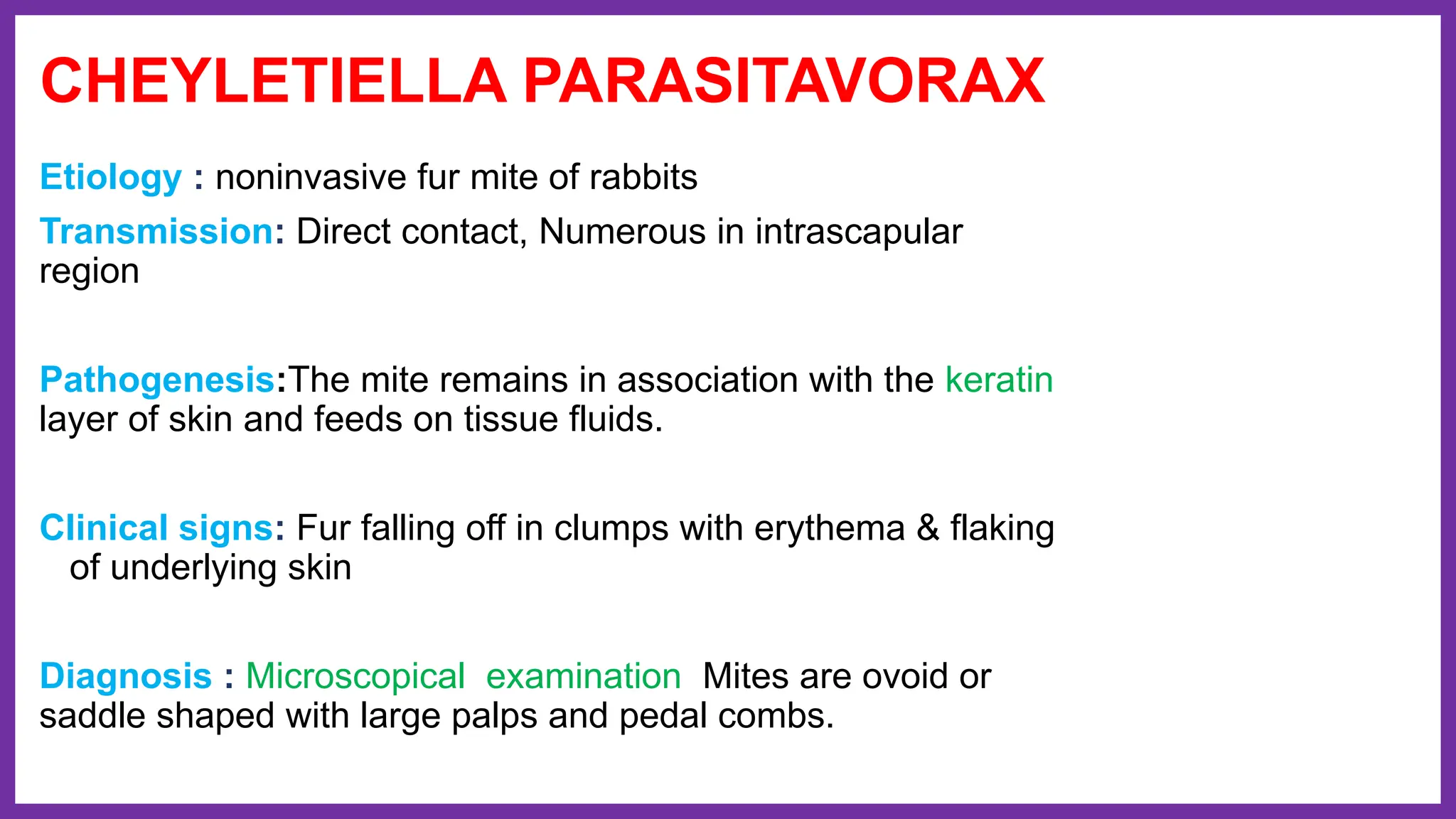 Power point presentations on mite infestation | PPTX