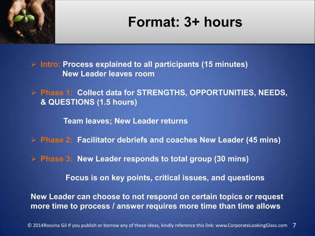 New Leader Integration | PPTX | Business | Business and Finance