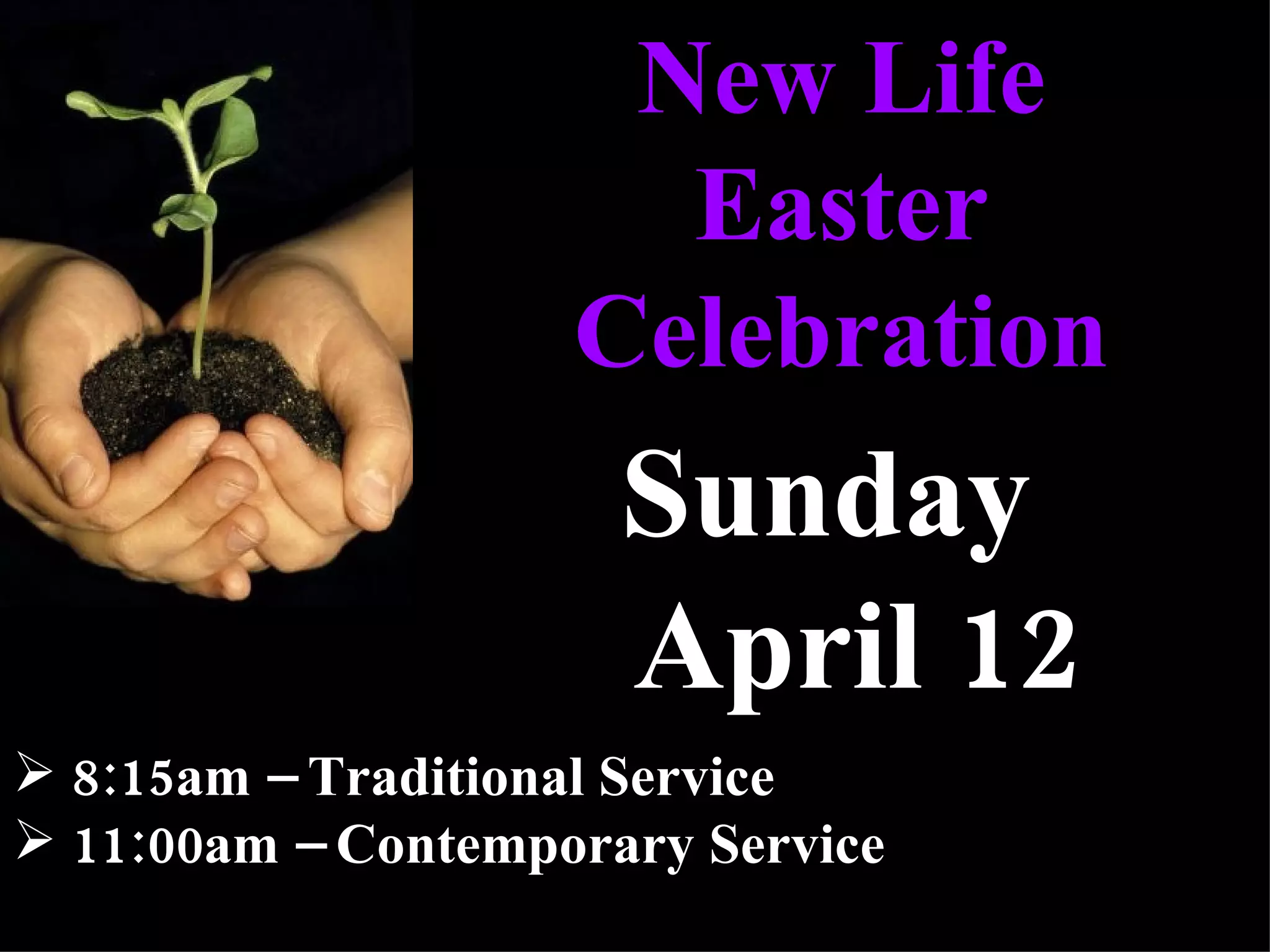 New Life Celebration | PPS