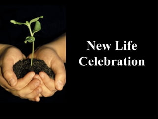 New Life Celebration | PPS