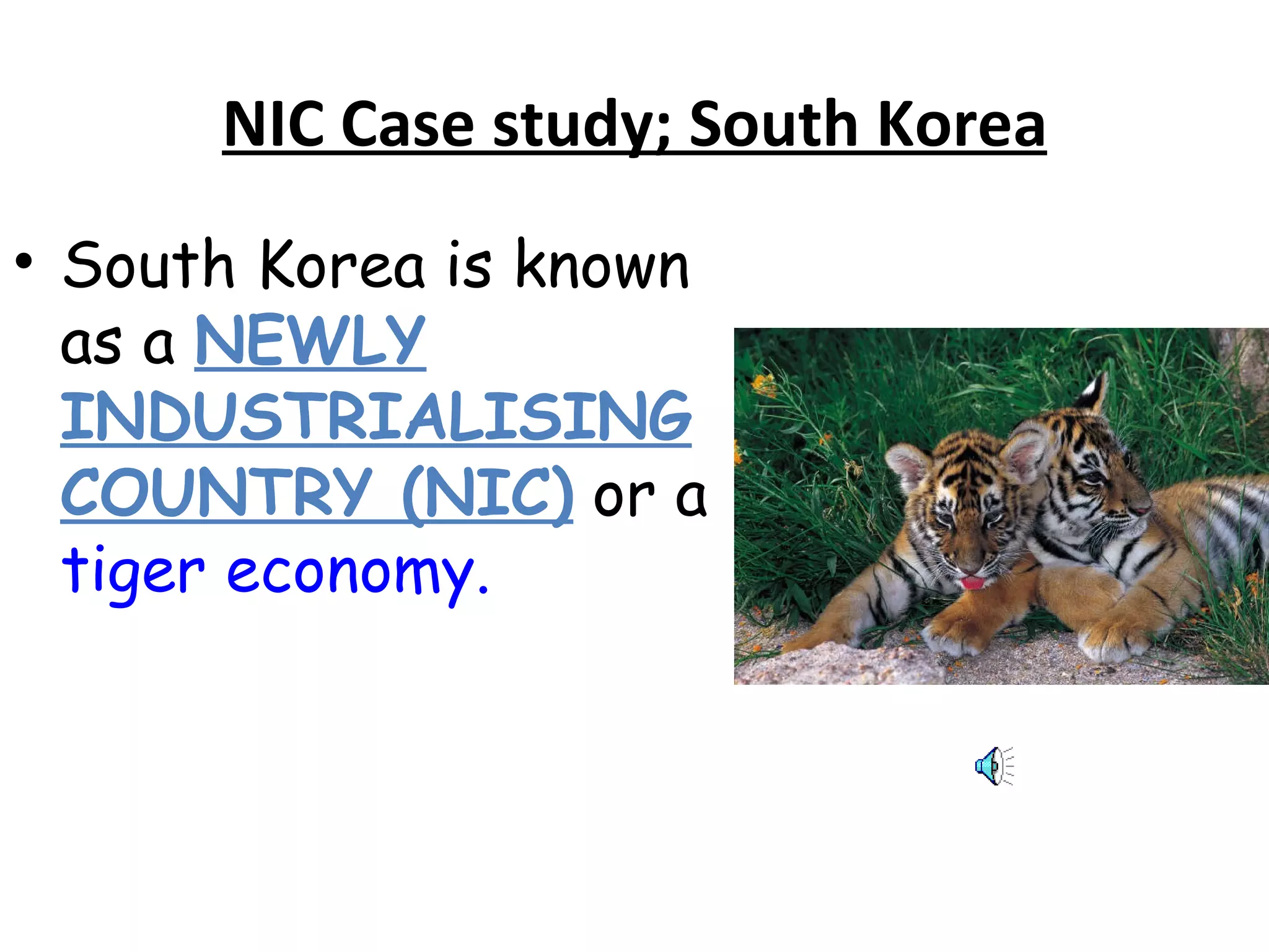 Newly Industrialised Countries 1233256504987187 1 | PPT