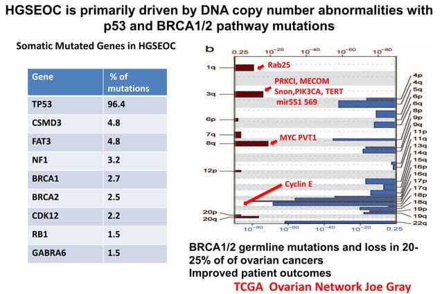 Newly Diagnosed: Ovarian Cancer 101, Gordon Mills, MD, PhD | PPT