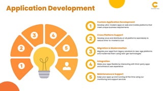 Application Development Services - Codetru | PPT