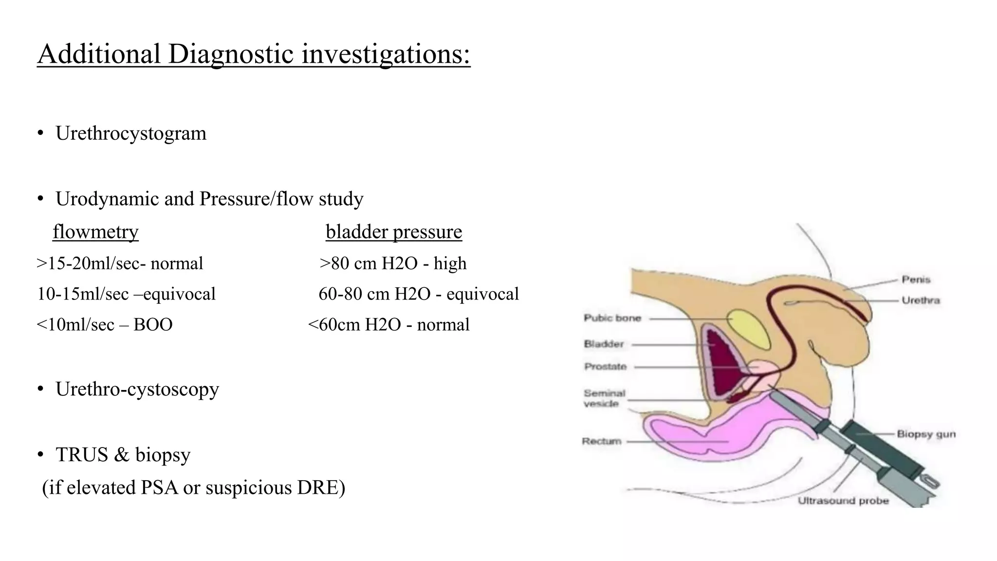 Benign Prostatic Hyperplasia | PPTX