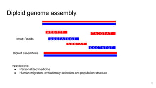 New methods diploid assembly with graphs | PPT