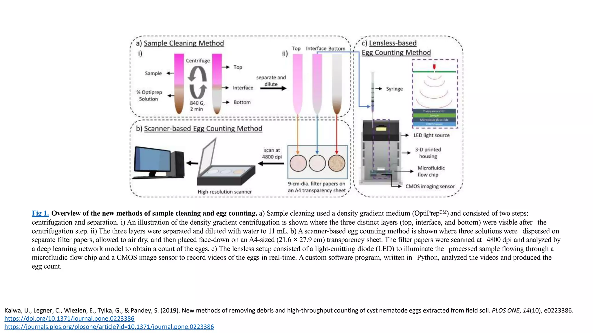 Parasite Nematode Egg Extraction and Counting | PPTX