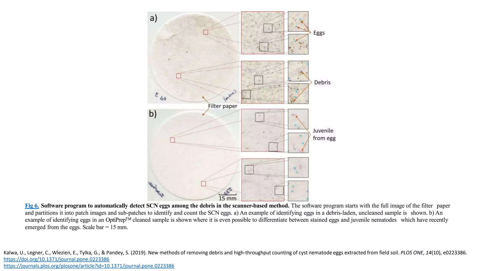 Parasite Nematode Egg Extraction and Counting | PPTX
